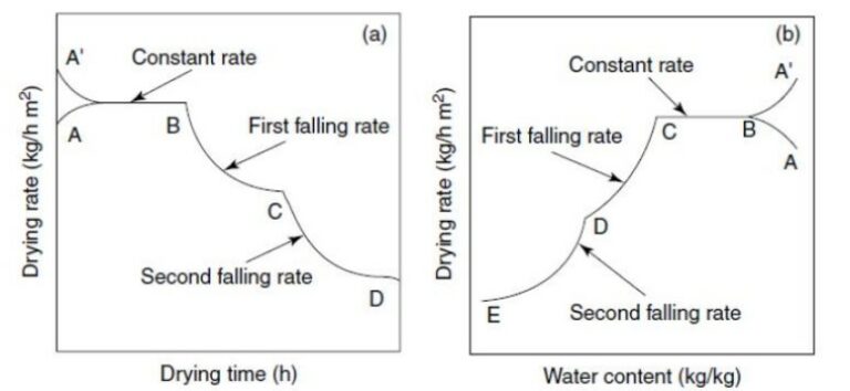 Role of Drying in Pharmaceuticals » Pharmaguddu