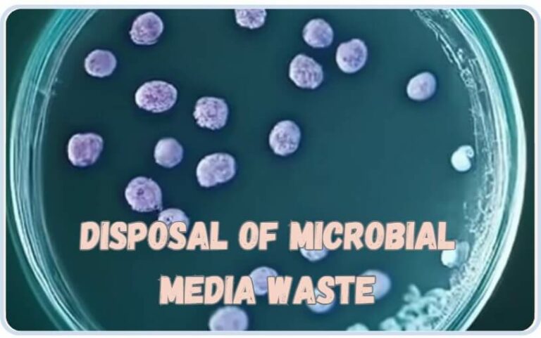 SOP on Disposal of Microbial Media in Microbiology » Pharmaguddu